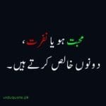 Top 100 Meaningful Attitude Quotes In Urdu For A Stronger Mindset ...